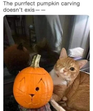 30 Funny Pictures Of Spooky Cats Celebrating With Some Halloween Mischief
