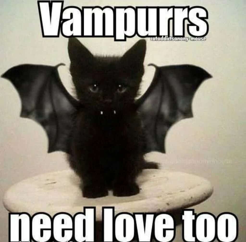 30 Funny Pictures Of Spooky Cats Celebrating With Some Halloween Mischief