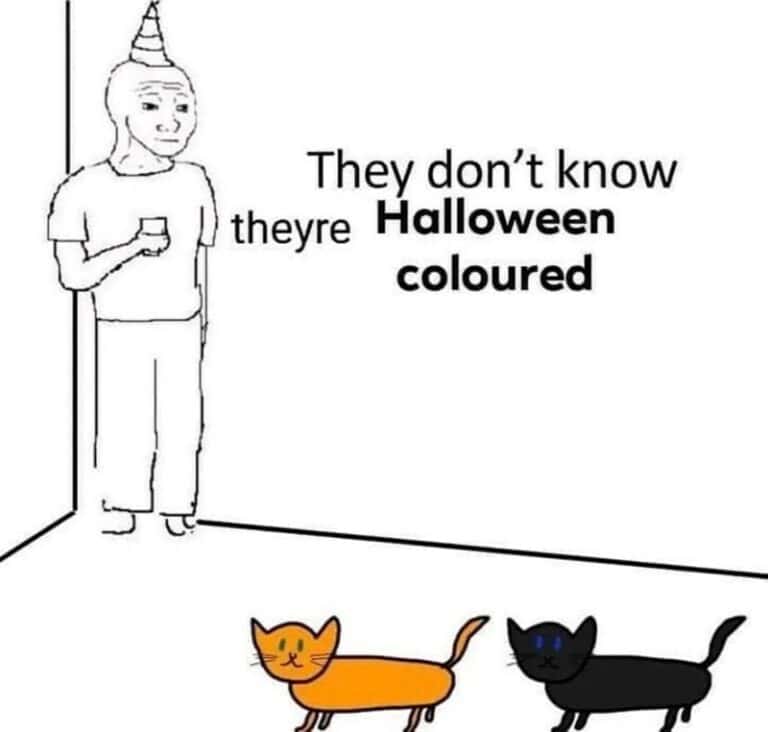 30 Funny Pictures Of Spooky Cats Celebrating With Some Halloween Mischief