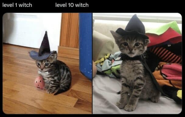 30 Funny Pictures Of Spooky Cats Celebrating With Some Halloween Mischief