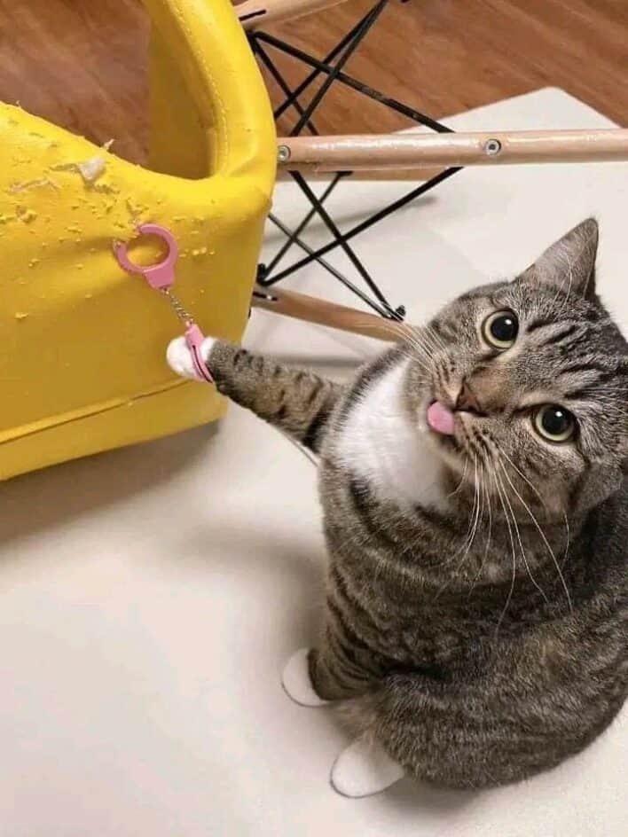 45 Funny Pictures That'll Make You Say "Hmmm" Because There's Really No ...