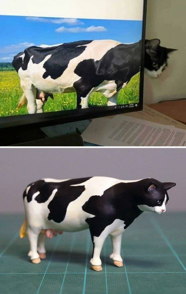 45 Funny Pictures That'll Make You Say "Hmmm" Because There's Really No ...