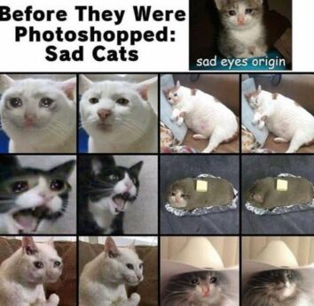 35 Pictures Showing The Origins Of Iconic Memes That You Probably Haven ...