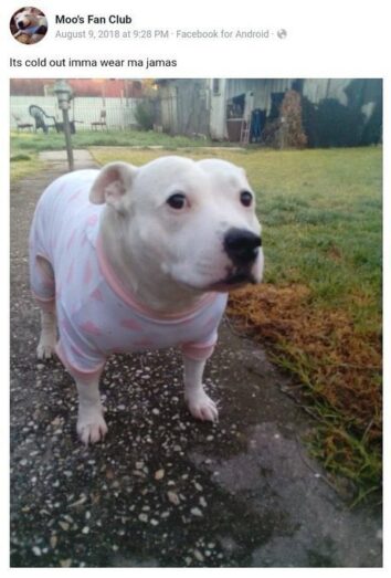 35 Pictures Showing The Origins Of Iconic Memes That You Probably Haven ...