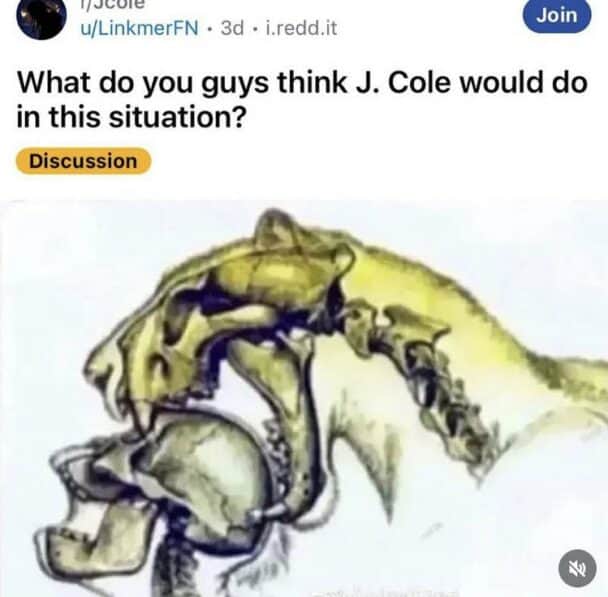 43 Funniest Pictures From The Depths Of Reddit This Week