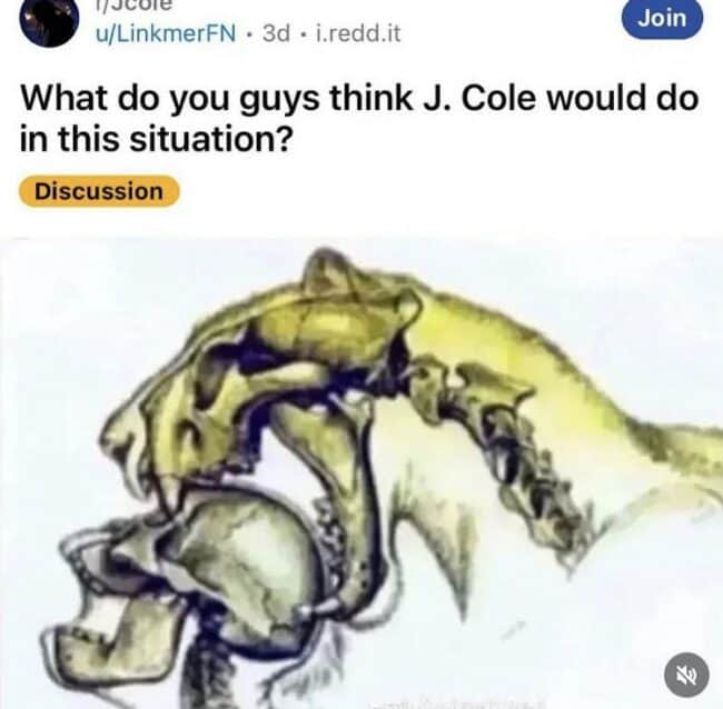 43 Funniest Pictures From The Depths Of Reddit This Week