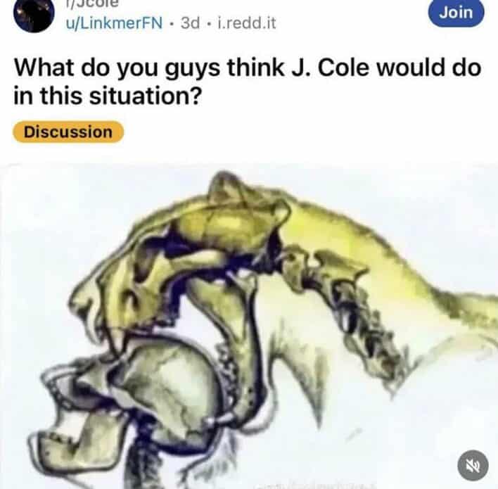 43 Funniest Pictures From The Depths Of Reddit This Week