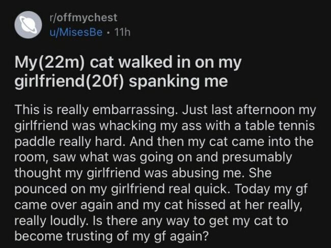 43 Funniest Pictures From The Depths Of Reddit This Week
