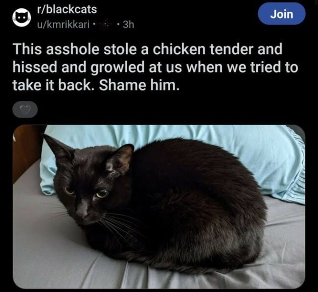 43 Funniest Pictures From The Depths Of Reddit This Week