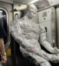 45 Funny Pictures From "Subway Creatures" — People Watching On The NYC ...
