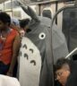 45 Funny Pictures From "Subway Creatures" — People Watching On The NYC ...