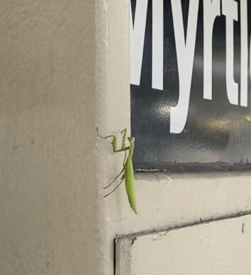 45 Funny Pictures From "Subway Creatures" — People Watching On The NYC ...