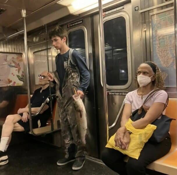 45 Funny Pictures From "Subway Creatures" — People Watching On The NYC ...