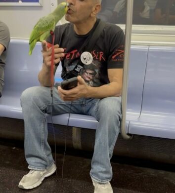 45 Funny Pictures From "Subway Creatures" — People Watching On The NYC ...