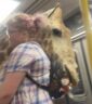 45 Funny Pictures From "Subway Creatures" — People Watching On The NYC ...