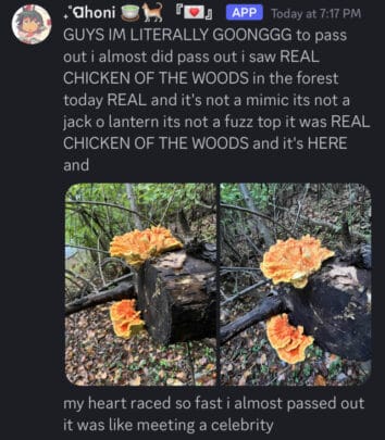 25 Funny Pictures Of Wild Discord Screenshots From A Crazy Corner Of ...