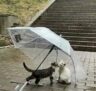 50 Funny And/Or Random Pictures To Add Some Fun To Your Afternoon