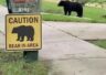 50 Funny And/Or Random Pictures To Enhance Your Weekend Scroll