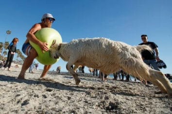 50 Funny And/Or Random Pictures To Enhance Your Weekend Scroll