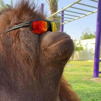 45 Funny And/Or Random Pictures To Fuel Your Weekend Laughter