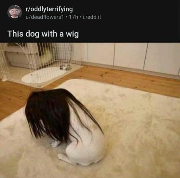36 Funniest Reddit Pictures From Across Every Wild Subreddit