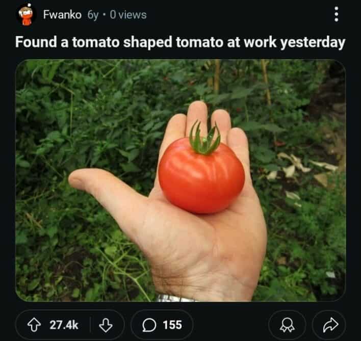 36 Funniest Reddit Pictures From Across Every Wild Subreddit