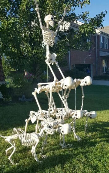 35+ Funny Pictures Of Skeleton Decorations That'll Win Halloween This Year