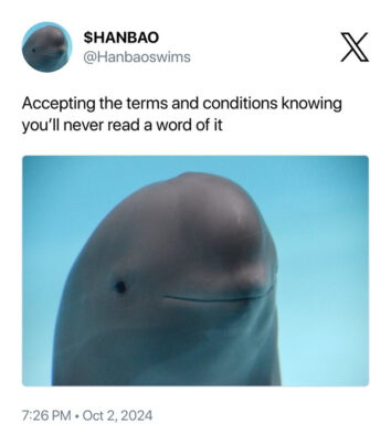 30 Funny Smiling Dolphin Memes That Are Taking Over The Internet
