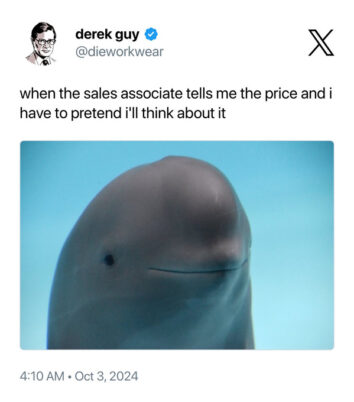 30 Funny Smiling Dolphin Memes That Are Taking Over The Internet