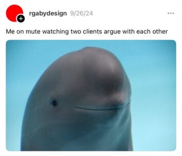 30 Funny Smiling Dolphin Memes That Are Taking Over The Internet