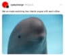 30 Funny Smiling Dolphin Memes That Are Taking Over The Internet