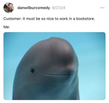 30 Funny Smiling Dolphin Memes That Are Taking Over The Internet