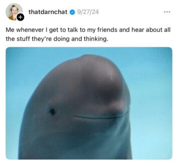 30 Funny Smiling Dolphin Memes That Are Taking Over The Internet