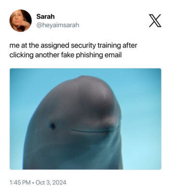 30 Funny Smiling Dolphin Memes That Are Taking Over The Internet