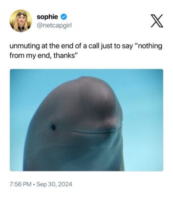 30 Funny Smiling Dolphin Memes That Are Taking Over The Internet