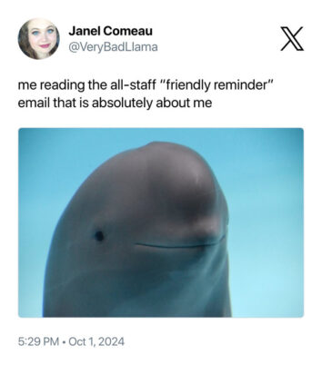 30 Funny Smiling Dolphin Memes That Are Taking Over The Internet
