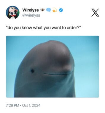 30 Funny Smiling Dolphin Memes That Are Taking Over The Internet