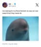 30 Funny Smiling Dolphin Memes That Are Taking Over The Internet