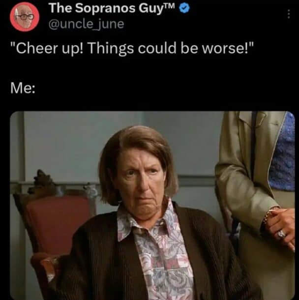 36 Funny Sopranos Memes To Show The Boys Back At The Bing