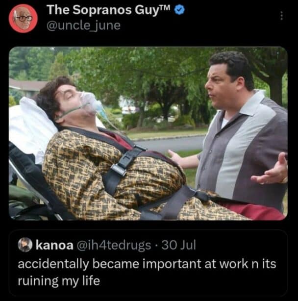 36 Funny Sopranos Memes To Show The Boys Back At The Bing