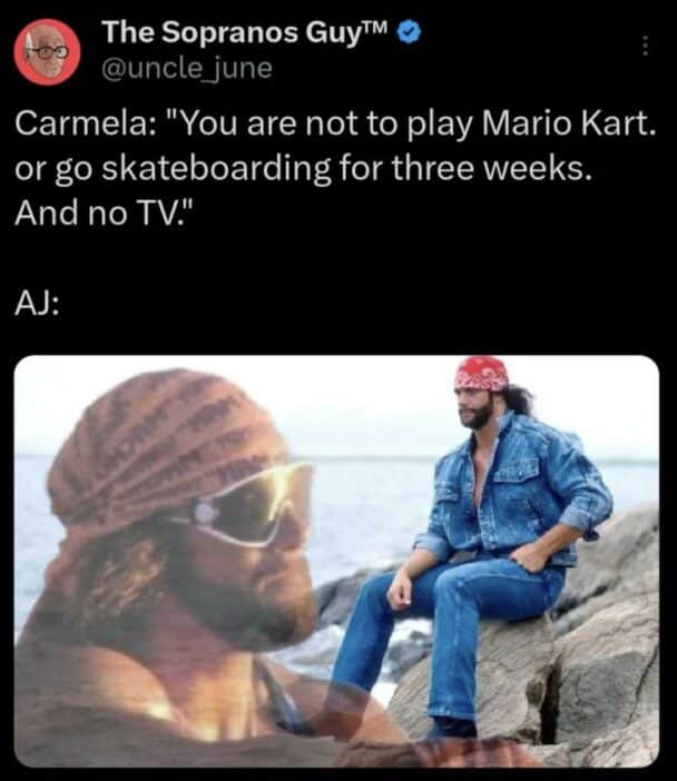 36 Funny Sopranos Memes To Show The Boys Back At The Bing