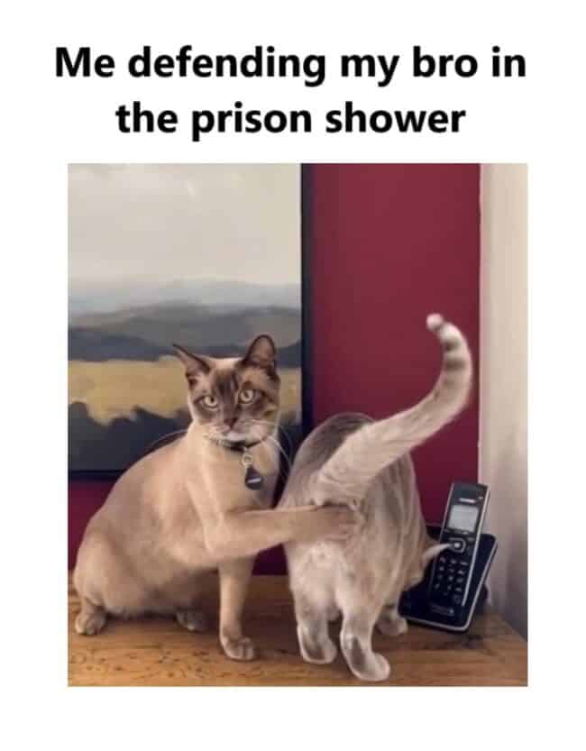 35 Spicy Memes For Folks Who Need Their Humor With A Little Heat