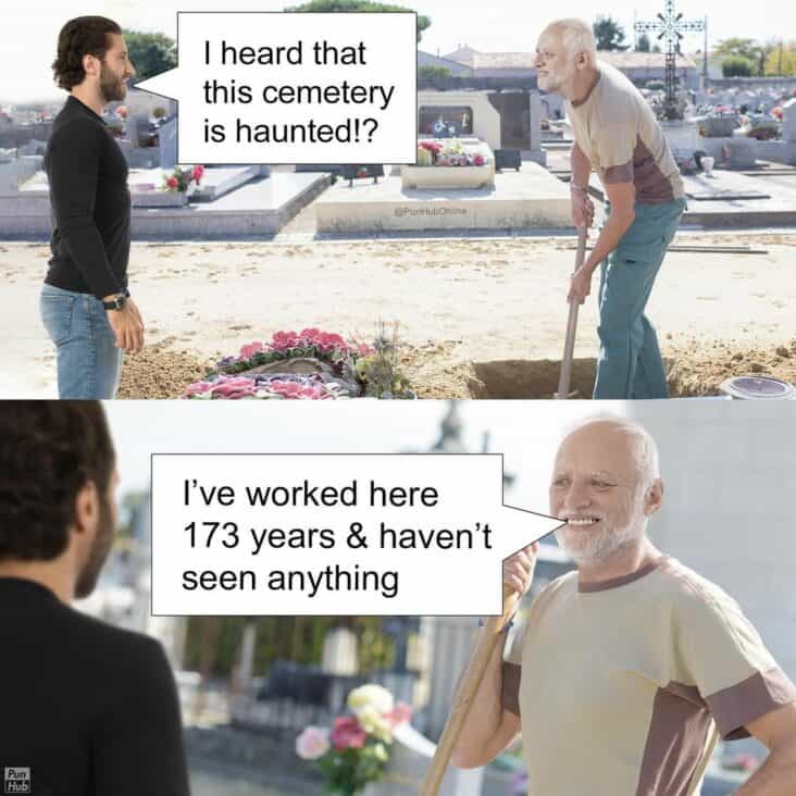 40 Funniest (And Spookiest) Puns From The Goofballs At PunHub