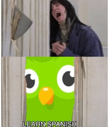 25 Funny "The Shining" Memes That Somehow Make A Horror Classic Hilarious