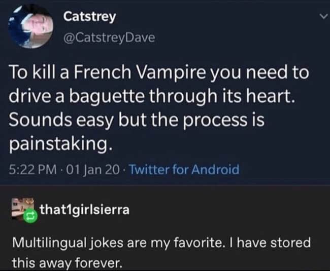 37 Funny Vampire Memes That Don't Suck