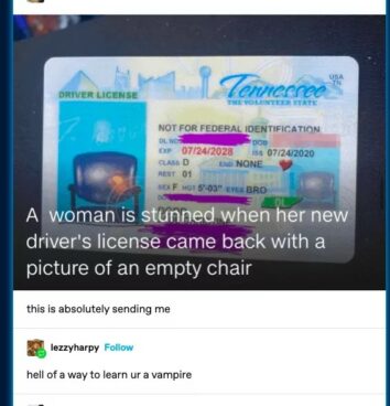 37 Funny Vampire Memes That Don't Suck