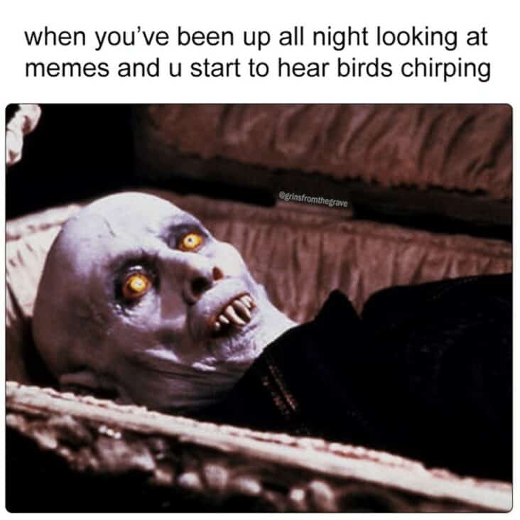 37 Funny Vampire Memes That Don't Suck