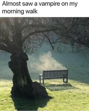 37 Funny Vampire Memes That Don't Suck