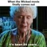 30 Funny Wicked Memes That’ll Make You Cackle While You Wait For The Movie