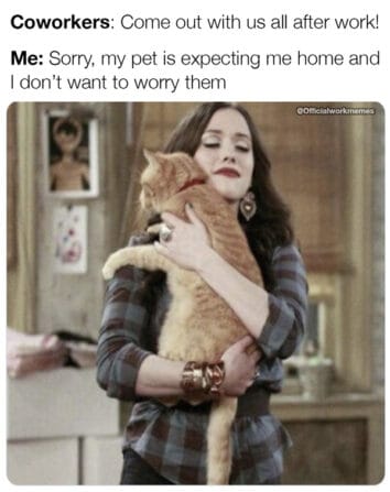 40 Funny Work Memes Every Underpaid, Overworked Employee Will Relate To ...